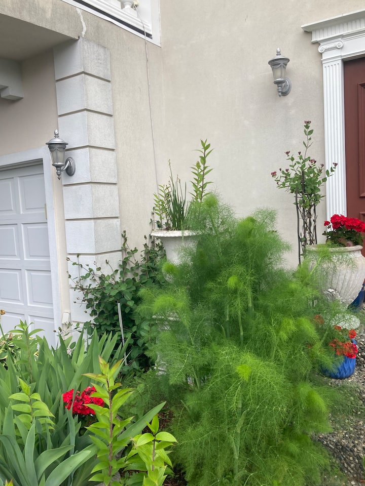 European  Upscale Home - Kirkland, WA