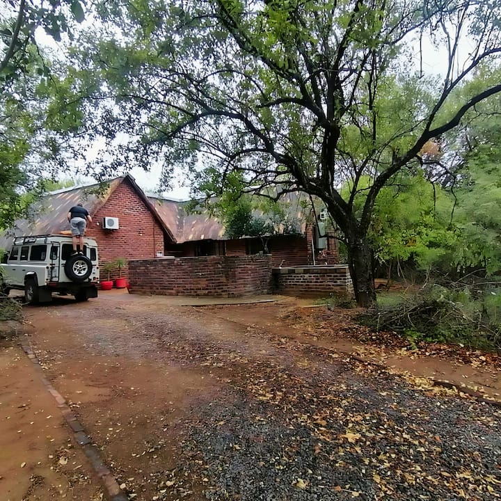 Stukkie See In Die Bos - Marloth Park