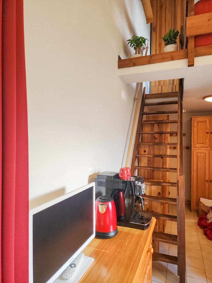 Logement Vue Fiz- Mont Blanc - Cordon