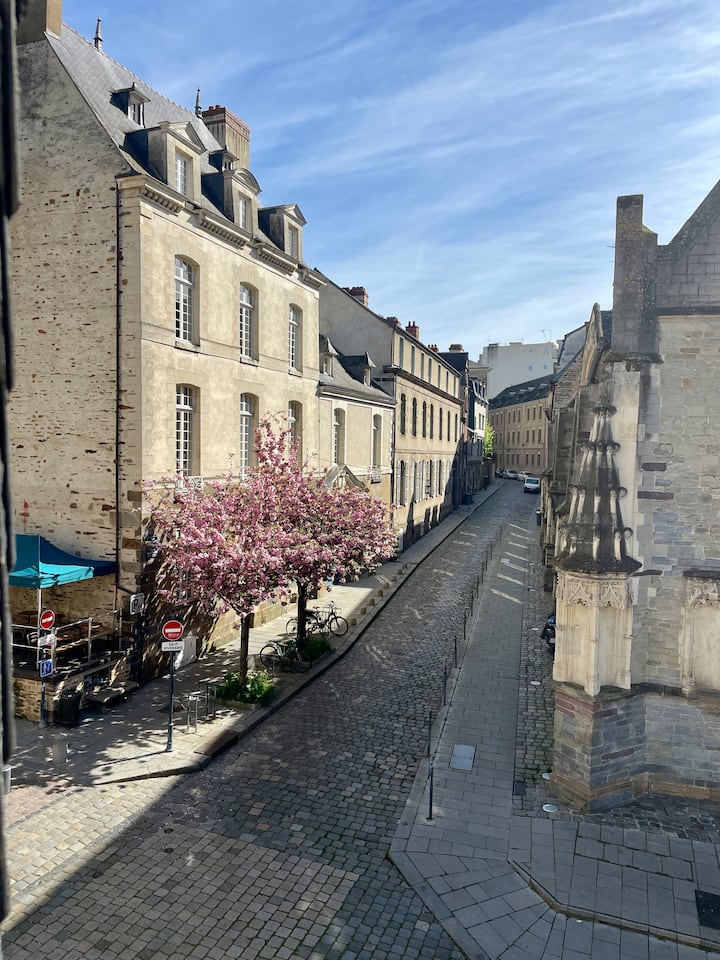Studio - Cœur De Rennes - Rennes