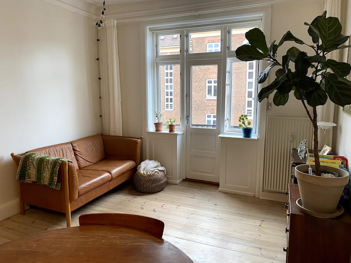 Simple Copenhagen Flat - Copenhague