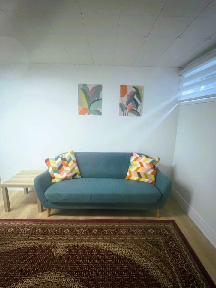 Renovated Mill Pond 2-bedroom Separate Basement - Vaughan