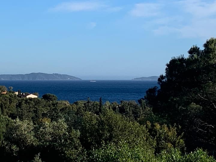 Grand Rez De Jardin Villa à 500m De La Plage. - Le Lavandou
