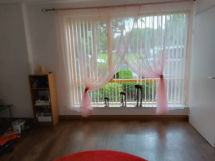 Spacious One-bedroom Duplex - Dublin