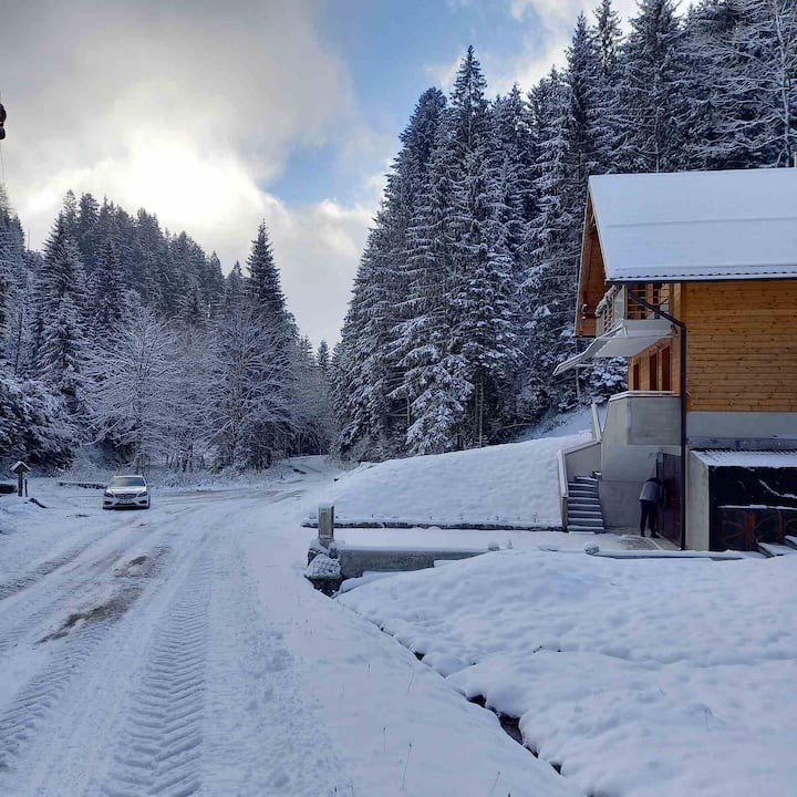 Holiday House Lunna | App 1 | In Nature & Terrance - Pohorje