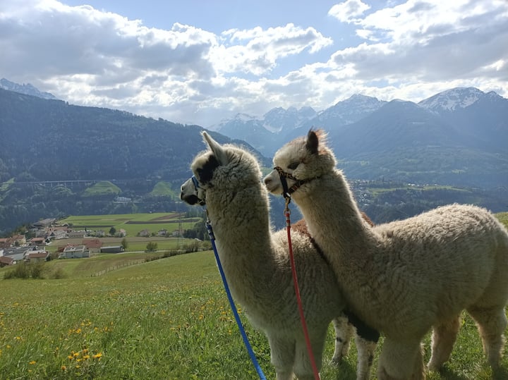 Kehrerhof Ellbögen - Fulpmes