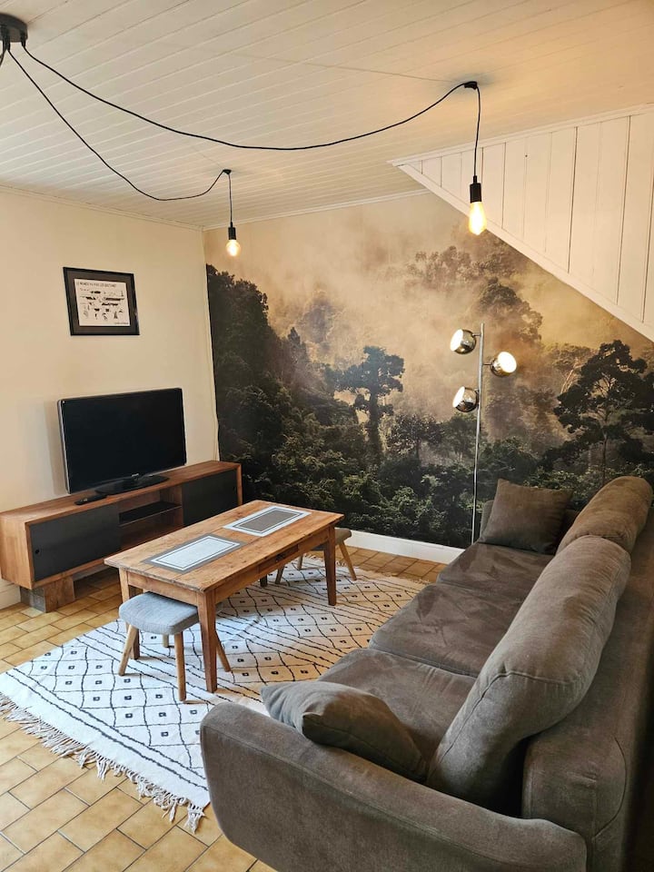 Maison De Bourg Avec Jardin - Combourg