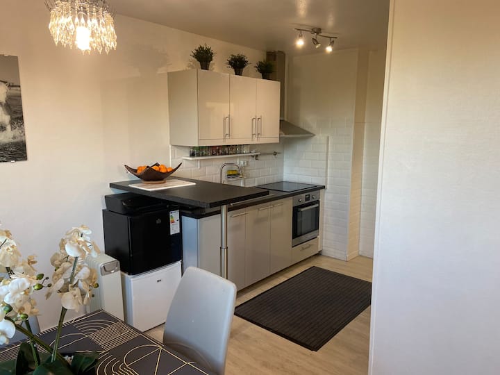 Appartement Lumineux Et Moderne - Épinay-sur-Orge