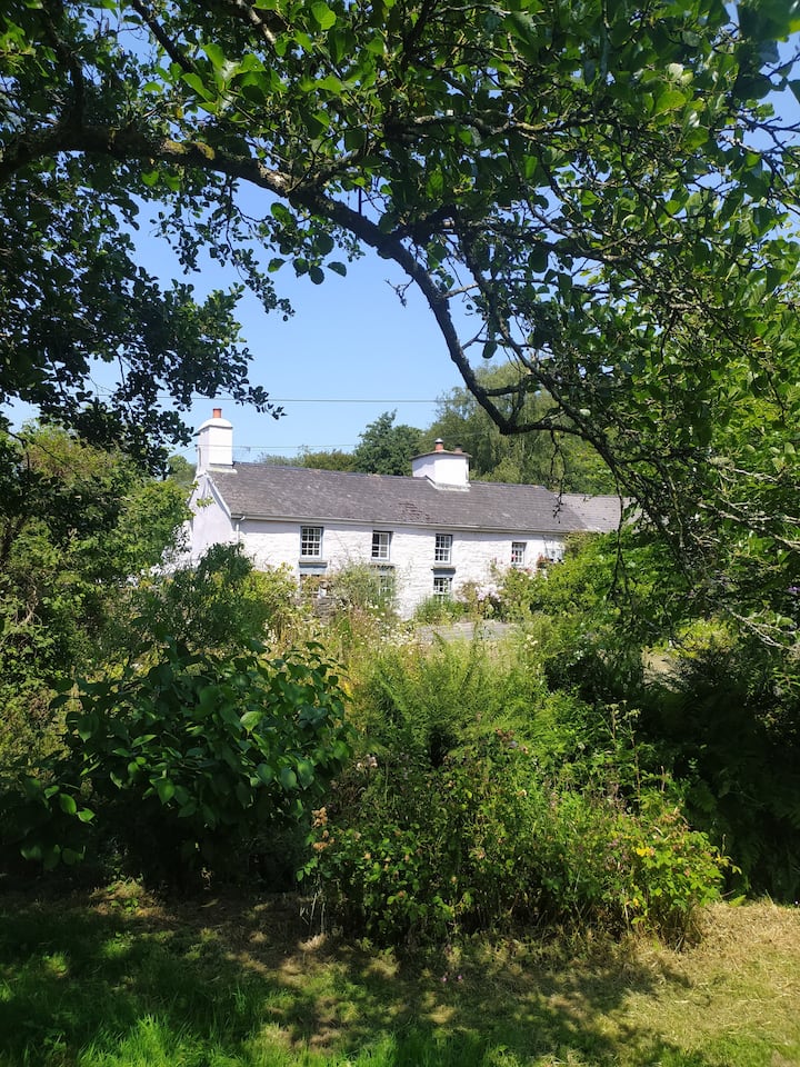 Traditional Welsh Longhouse In 4 Idyllic Acres - Cardigan