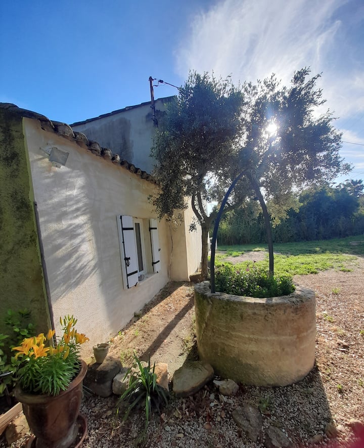 Mas Melenzo - ibis Avignon Centre Gare