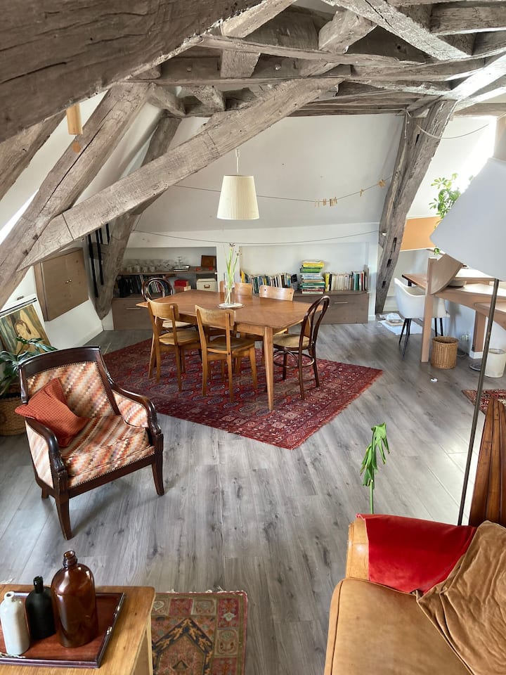 Appartement De Charme - Vue Sur L'yonne - Joigny