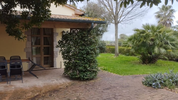 Il Ghibellino - Suvereto