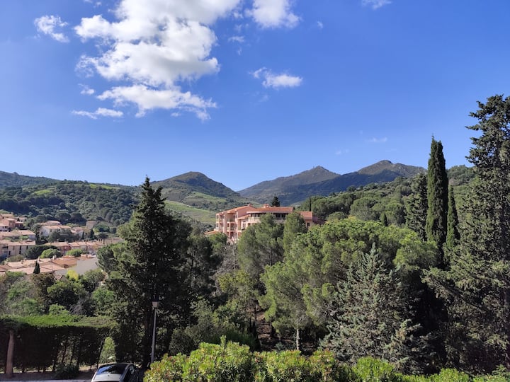 C458 Bel Appartement / Piscine / Tennis / Parking - Collioure