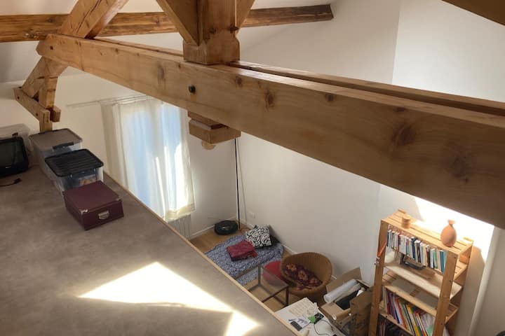 Appartement Bagnolet Atypique, - Bagnolet