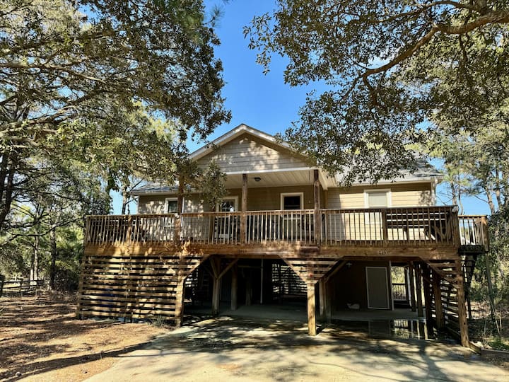 Fiddler Crab - Nags Head, NC