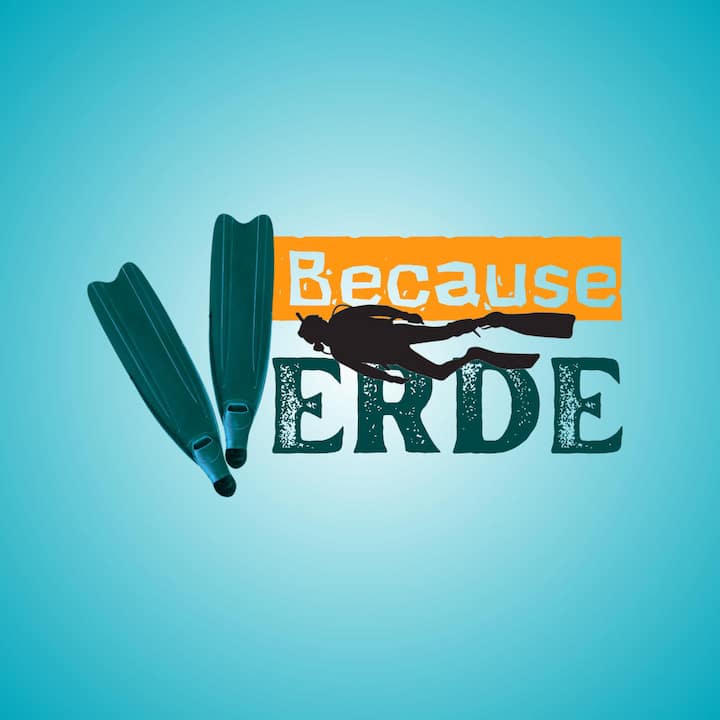 Sleep, Eat & Dive - Puerto Galera