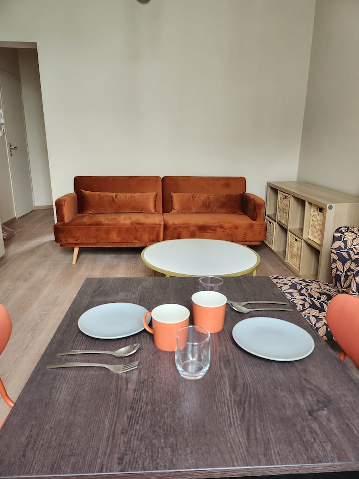 Appartement -2pers- Centre Mans - Le Mans