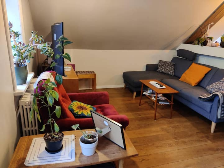 Cosy Home Riiiiight Downtown - Reykjavik
