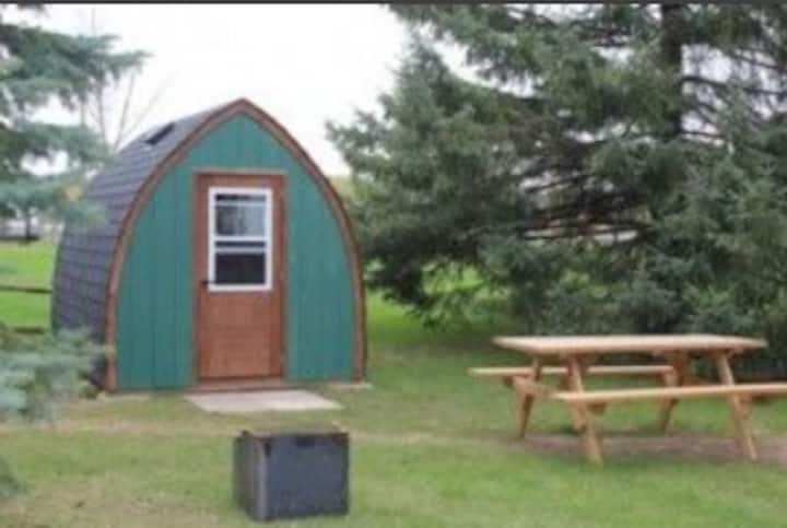 The Little Green Bunkie (#3) - Caledon