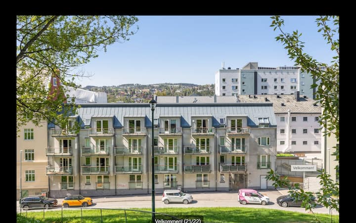 Koselig Toppleilighet Med Utsikt Mot Gløshaugen - Trondheim