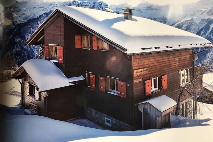 Chalet Heidi - Elm