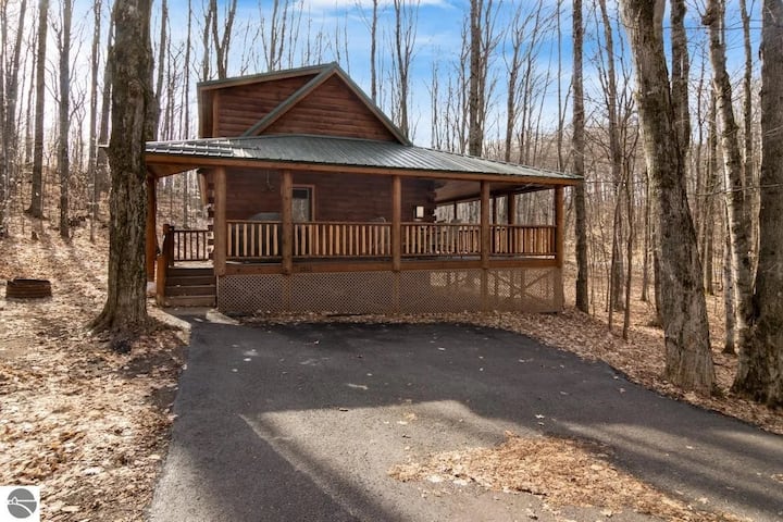 Cabin In The Woods - Mancelona