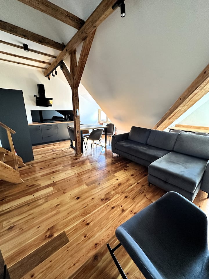 Apartament Agwenna - Toruń