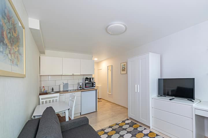 Partizanų Studio Ap 5 By Polo Apartments - Kaunas