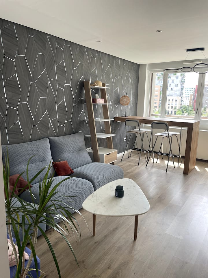 Joli Appartement Chaleureux - Seine-Saint-Denis