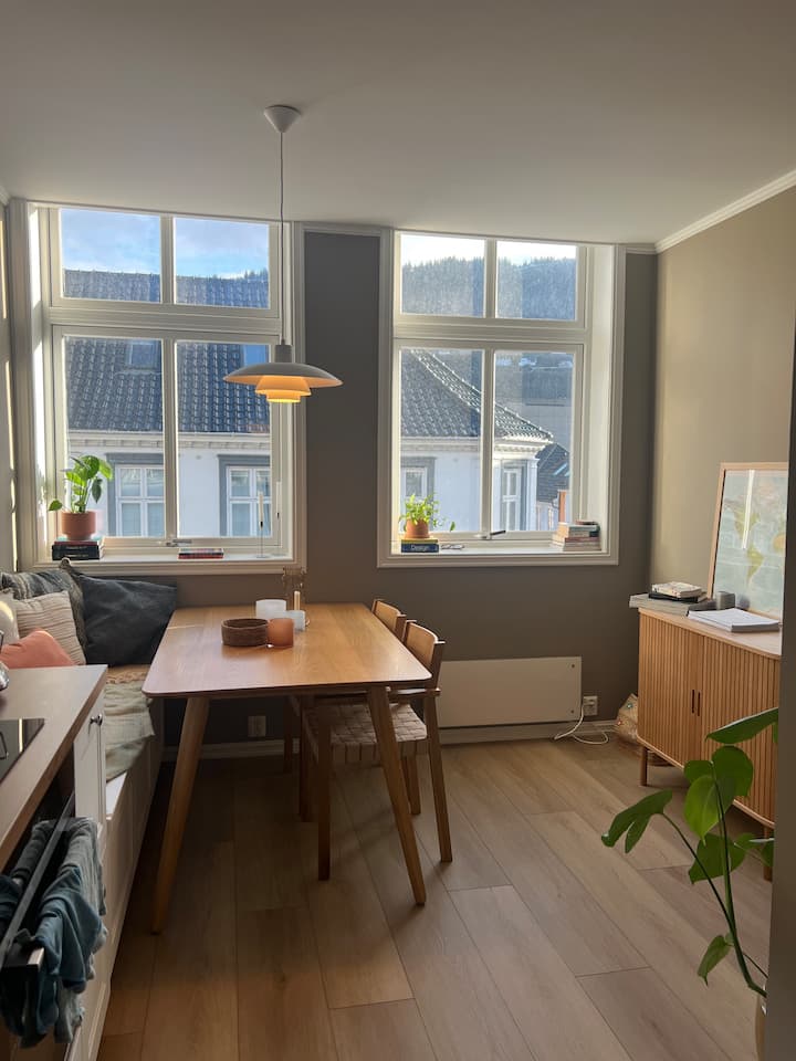 Nyoppusset Leilighet I Bergen Sentrum - Bergen