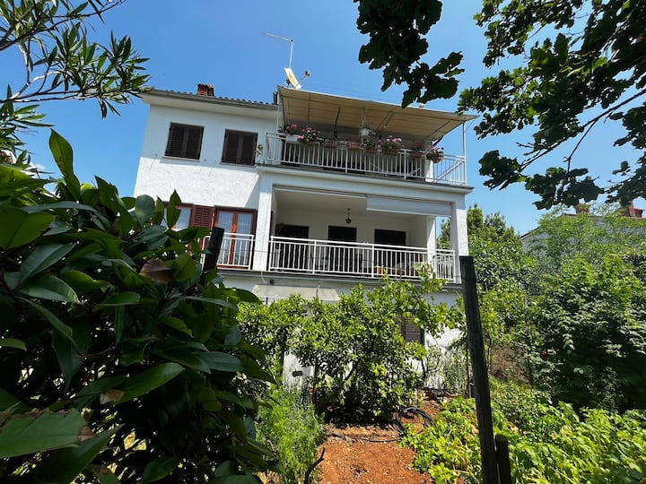 Apartment Juric Nevi - Njivice