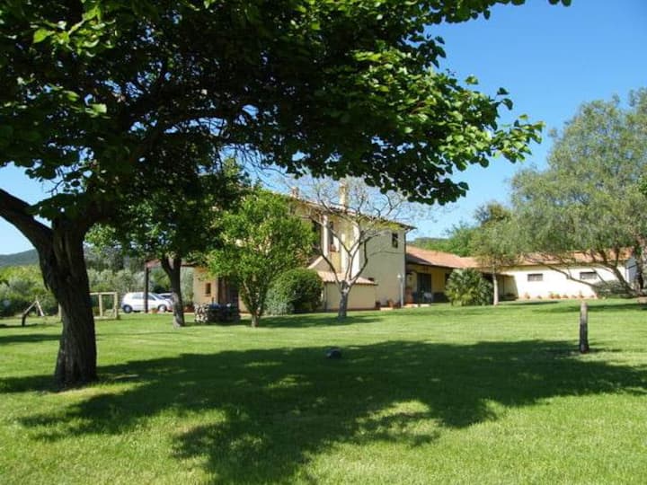 Monolocali In Affitto In Toscana - Orbetello