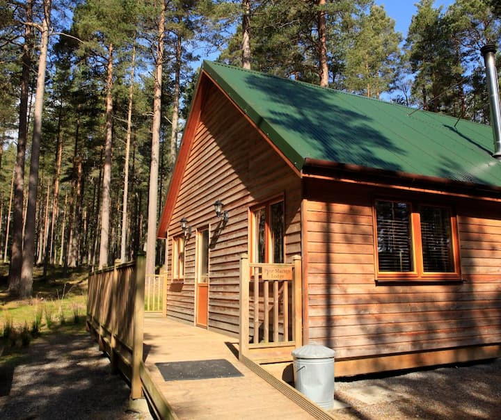 Eco Forest Lodge Retreat P | Sleeps 4 | Cairngorms - Aboyne