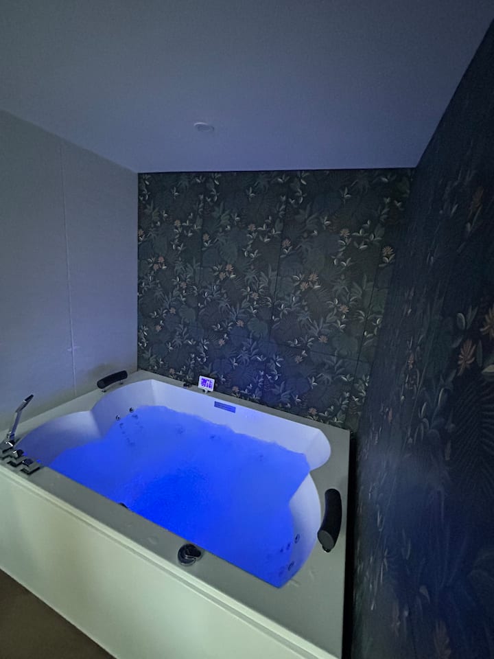Appartement Bien Etre / Jacuzzi / Soins - Revel