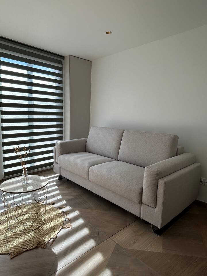 Appartement Bien Etre / Jacuzzi / Soins - Revel