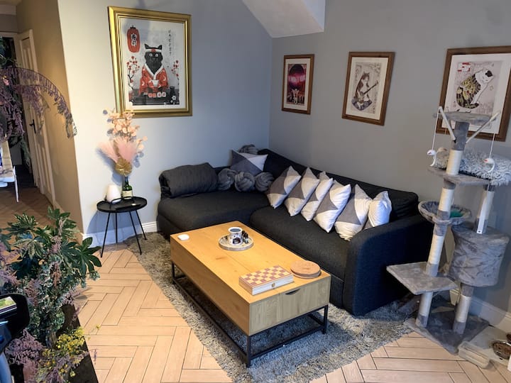 4 Bedroom House - 15 Min Walk To Centre - Dublin