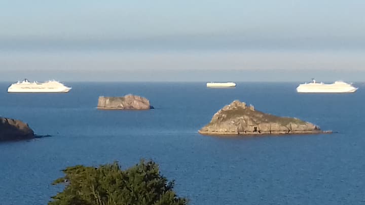 Dolphin Watch Studio Apt At Villa Capri Torquay - Brixham
