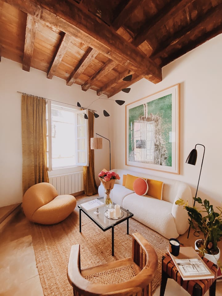 Maison Typique - Centre Historique - Arles