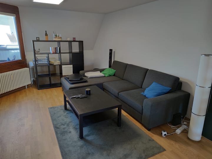 Lovely Quiet Maisonette In Heart Of The City - Ulm