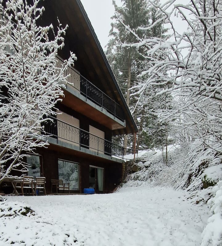 Ferienwohnung In Schwarzwald Mit Sauna Und Terasse - Furtwangen