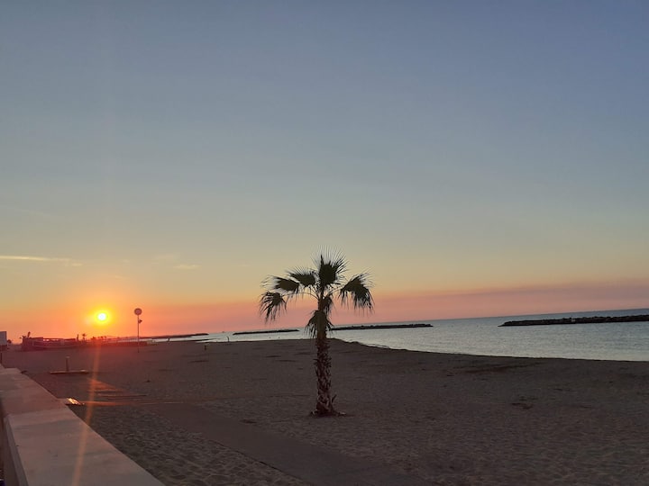 T2 Vacances à 100m De La Plage - Valras-Plage