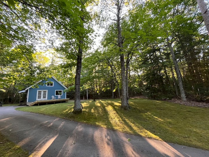 Quiet Forest Retreat - Alpena, MI