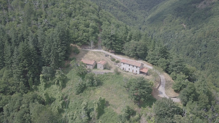 Casa Di Montagna 12 Posti Letto - Abetone