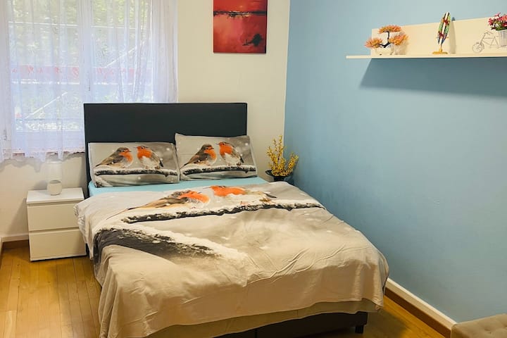 Schönes Zimmer 8min Vom Hb - Berne