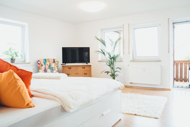 Albalonga Apartment
Im Weingut Leininger - Randersacker