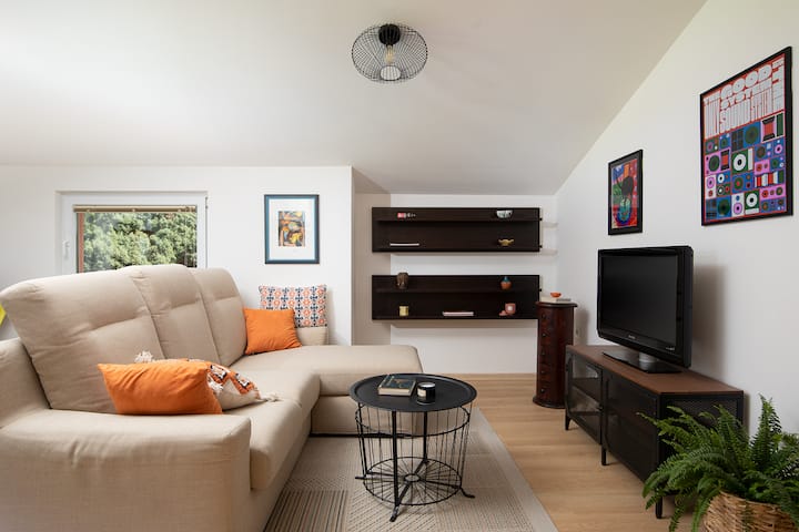 Apartment Mansarda - Pula