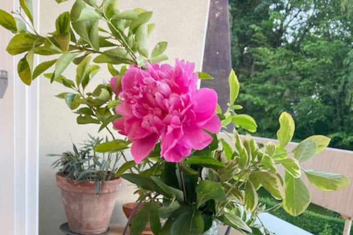 Bel Appartement Jo - 2 Min Gare - Rambouillet