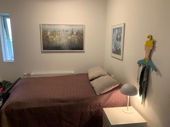 Downtown Apartment In 101 - Reykjavík