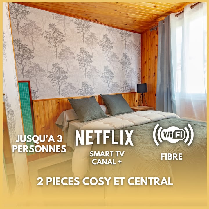 La Rosée - 2 Pièces Wifi Netflix - Bourbonne-les-Bains