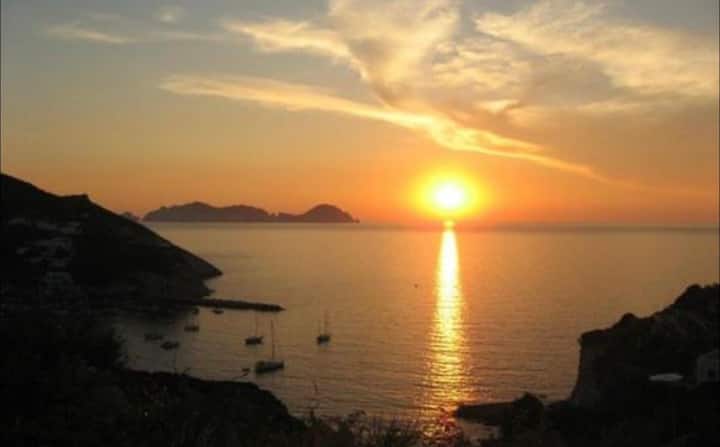 Ponzamania Diamante Sul Mare - Ponza